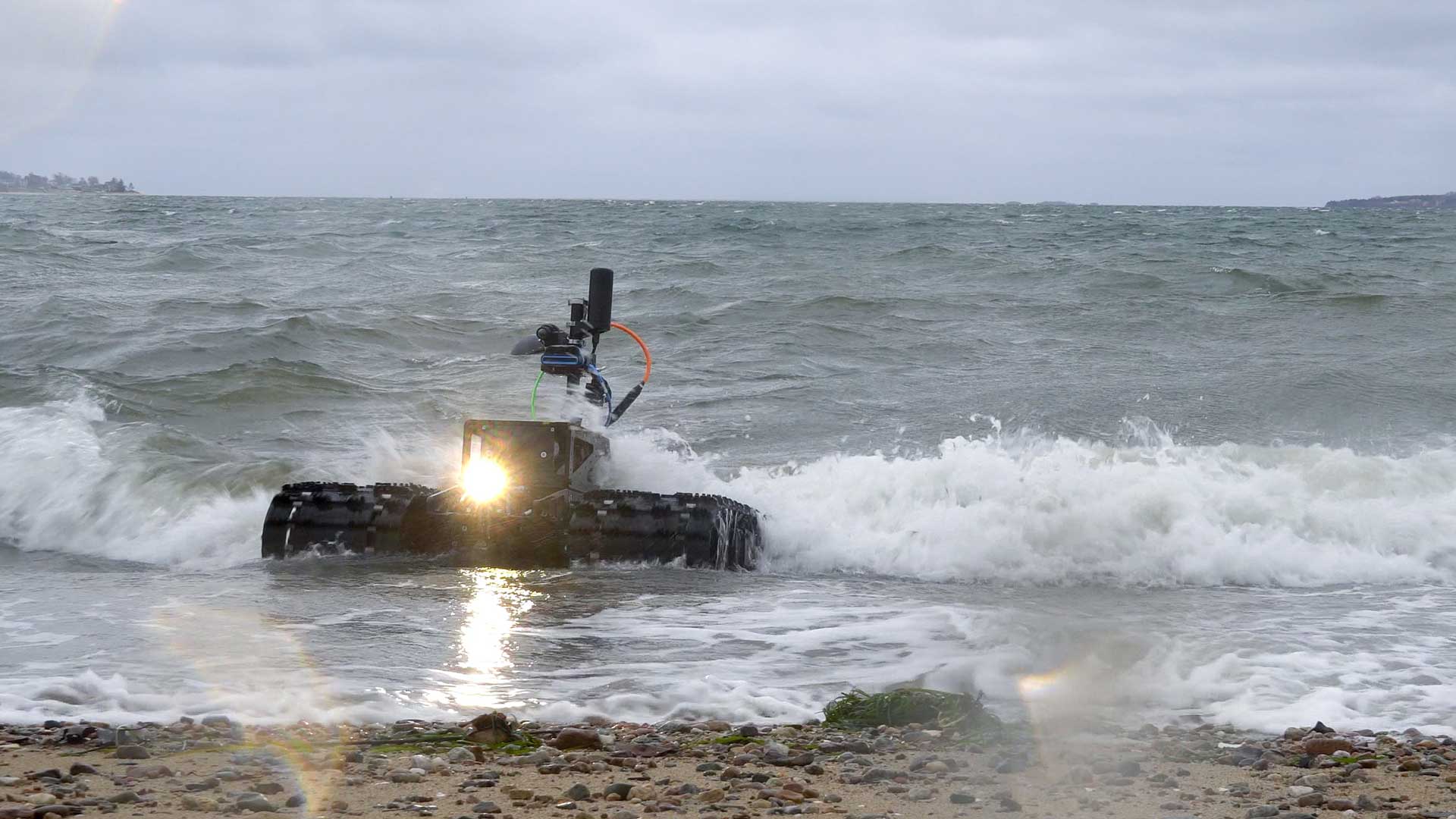 Bayonet Surf Zone Crawlers